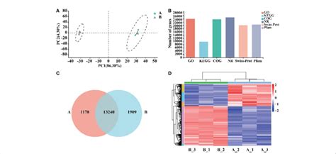 Functional Annotation And Comparative Analysis Of Transcriptome Data Download Scientific