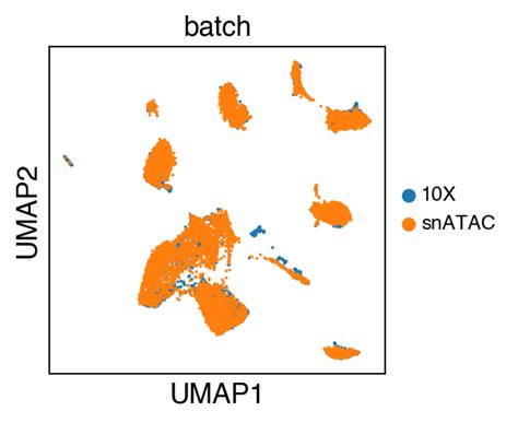 Integrating Scatac Seq Data Using Scalex — Scalex 102 Documentation