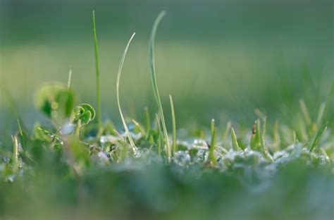 Python Mysqlに接続してデータ操作を行う Yoheim Net Python Mysqlに接続してデータ操作を行う Yoheim Net