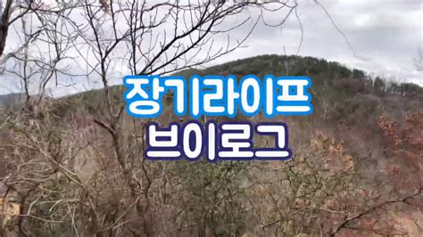 시골라이프 Youtube