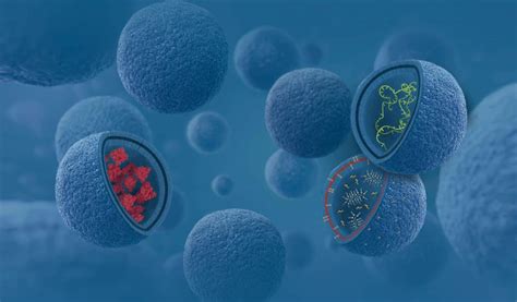 Creating Sustainable Pathways To Regional Vaccine Manufacturing Cepi