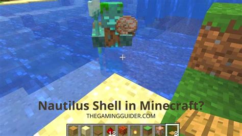 Nautilus Shell In Minecraft Step By Step Terminology