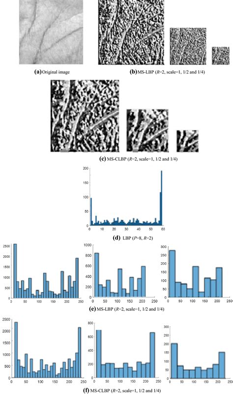 an example of lbp ms lbps and ms clbps and corresponding histograms