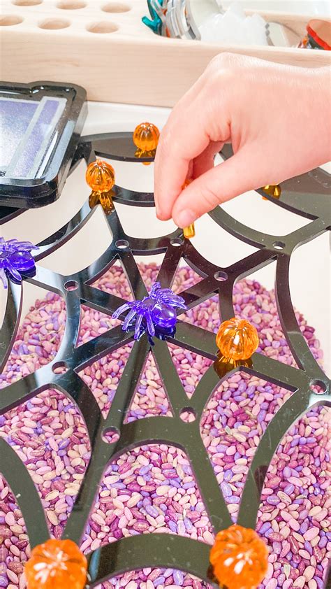 Button And Bug Spider Web Insert Buttonandbug