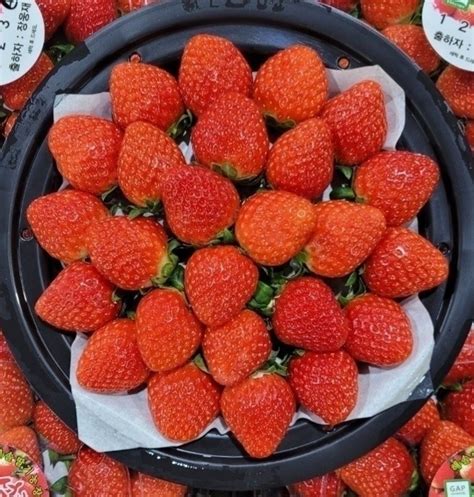 장웅재씨 설향딸기🍓🍓 시장에서 1등상품으로 어렵게 구해갑니다🏃 🍓물량부족으로 다음입고시 인상될수도 있습니다 장웅재씨 설향딸기 5 ♡ 수야과일 ♡정관과일 Band