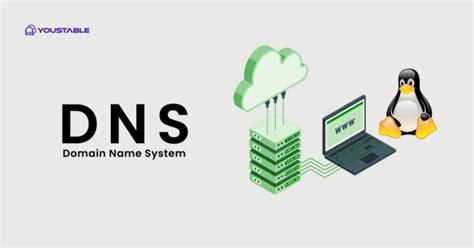 Ultimate Guide To Use DNS On Linux Servers