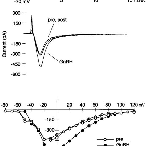 Whole Cell Recordings From An Olfactory Receptor Cell Illustrating A