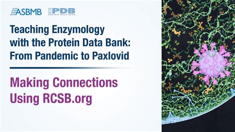 pdb 101 teaching enzymology with the protein data bank from pandemic