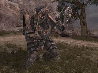 Jiralhanae Chieftain Halopedia The Halo Wiki