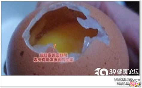 Carbonat De Calciu Andrei Pavel