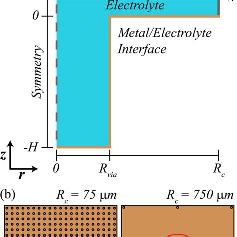 A Schematic Of 2d Axisymmetric Geometry Used In The S Ndr Model To Download Scientific