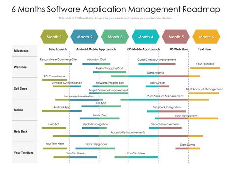 6 Months Software Application Management Roadmap Diagrams