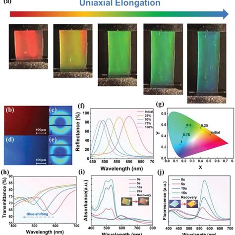 A Photograph Of The Clce Sample At Different Elongations In Which