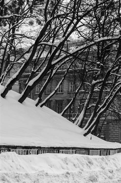 Small Snowplow Clearing The Pavement In The Park From Snow · Free Stock