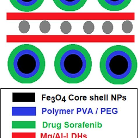 Schematic Illustration Of The Designed Core Shell Nanocomposite Download Scientific Diagram