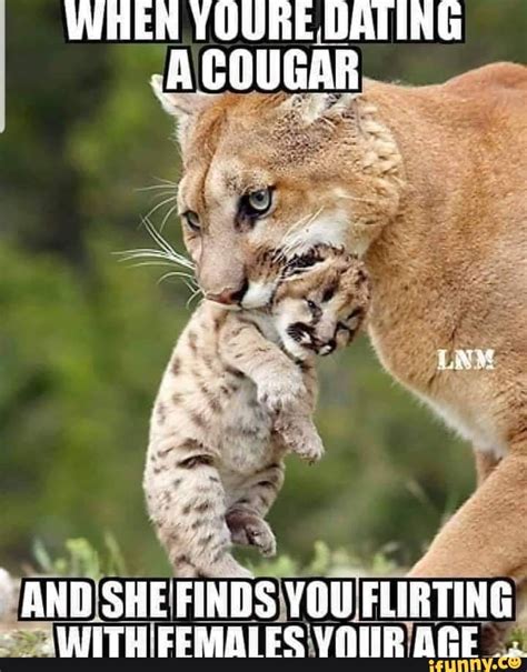 Cougar Female Images Quotes 40 Funny Cougar Memes That Prove Age Is
