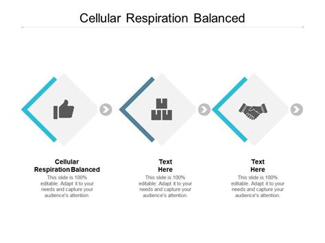 Cellular Respiration Balanced Ppt Powerpoint Presentation Ideas Clipart Cpb Presentation