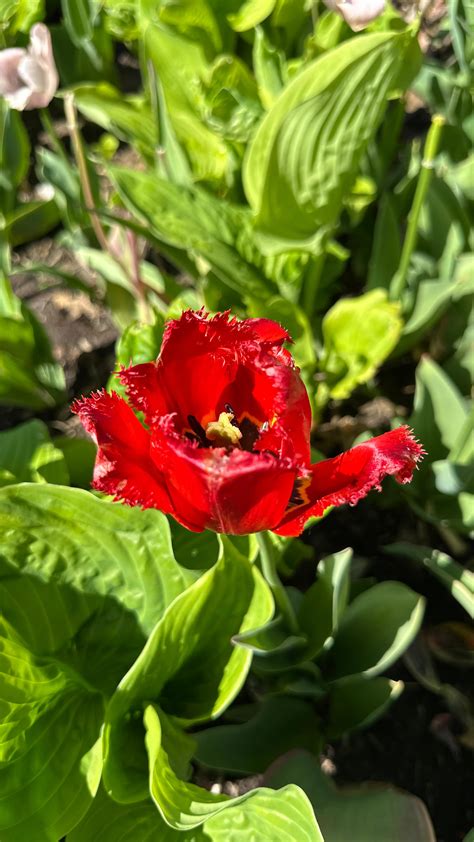 Copperleaf Group Copperleafgroupltd • Instagram Photos And Videos