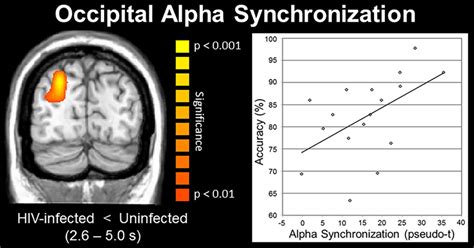 Statistical Parametric Map Spm Showing Group Differences In Alpha Download Scientific Diagram