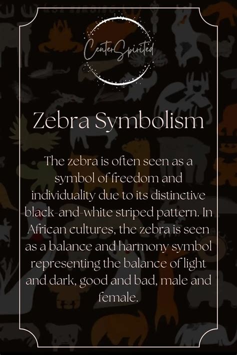 Zebra Symbolism And Meaning