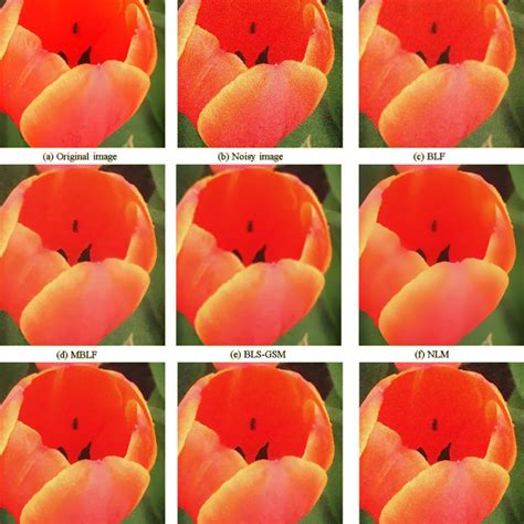 Enhancement of noisy image σ a Original image b Noisy image c Download Scientific