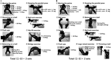 Contents Of Exercise Intervention Programs Using An Exercise Ball I