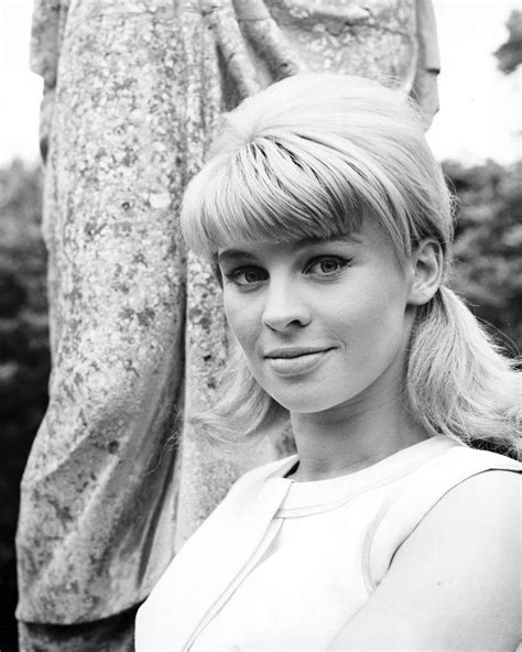 Julie Christie Photo Of Pics Wallpaper Photo Theplace