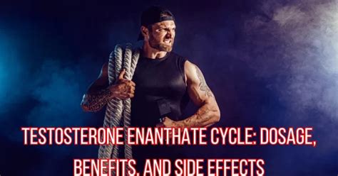 Testosterone Enanthate Cycle Dosage Benefits And Side Effects