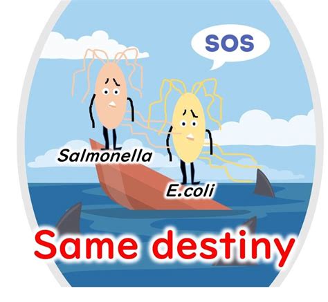 Understanding E Coli And Coliform Bacteria Key Differences Roles And Their Significance In