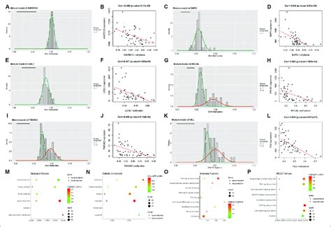 Overview Of The Dna Methylation Driven Genes Mdgs Identified By