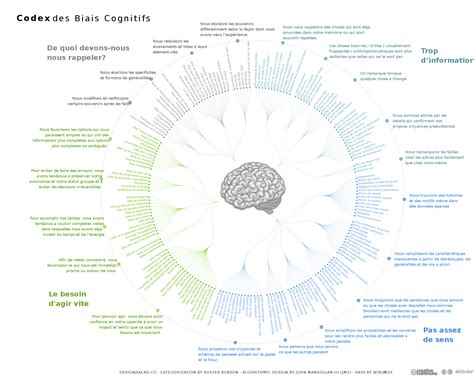 Les Biais Cognitifs Nicolas Croce