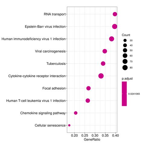Clusterprofiler Karobben