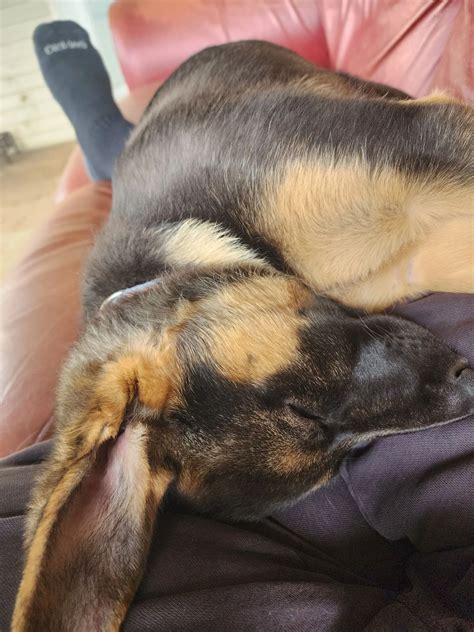 Larry Diffey On Linkedin An Advantage Of Working From Home 15 Comments