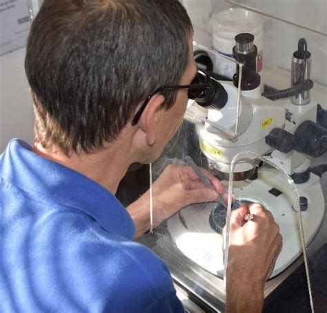 Asbestos Sample Testing Oracle Solutions