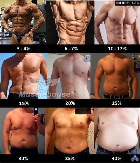 Зожник Как измерить процент жира в организме