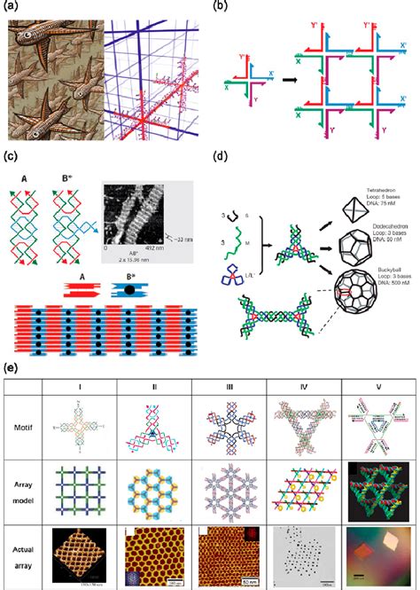 Figure 1 From Bottom Up Self Assembly Based On DNA Nanotechnology Semantic Scholar
