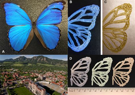 Natural Inspiration For 3d Printing With Color Uses Photonic Crystals And Sub 1 000 3d Printer