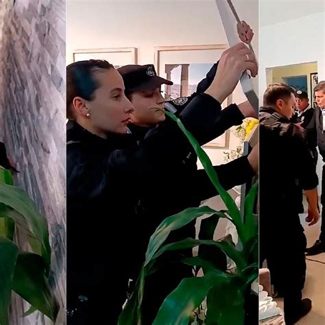 Los métodos de Steve Jobs para resolver problemas difíciles en Apple Infobae