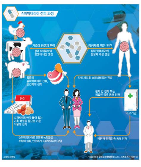 슈퍼박테리아 정복법 以菌制菌