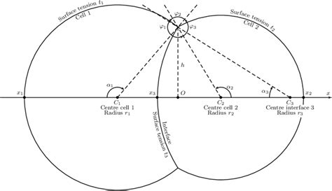 Cell Doublet Configuration Angles Are Taken In −π π Download