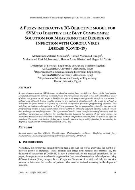 a fuzzy interactive bi objective model for svm to identify the best