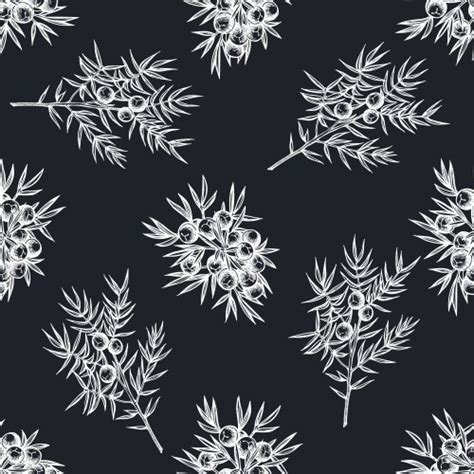 Juniper Tree Vector Images Over 1 200