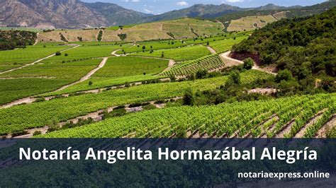 Notaría Angelita Hormazábal Alegría Notaría Express