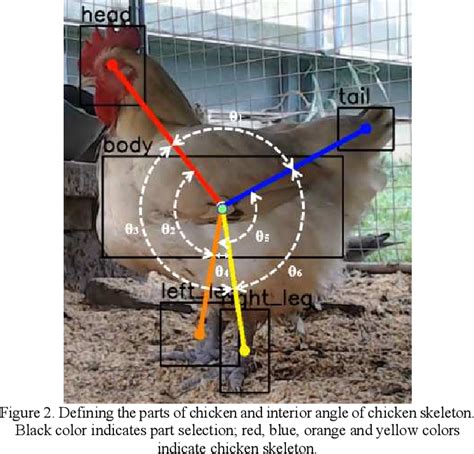 Figure 1 From Behavior Recognition Of A Broiler Chicken Using Long