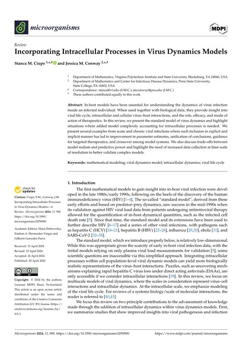 pdf incorporating intracellular processes in virus dynamics models