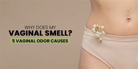Why Does My Vaginal Smell Causes Of Vaginal Odor La Elega