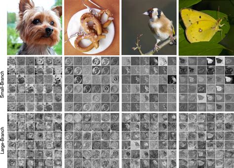 Figure 1 From Crossvit Cross Attention Multi Scale Vision Transformer For Image Classification