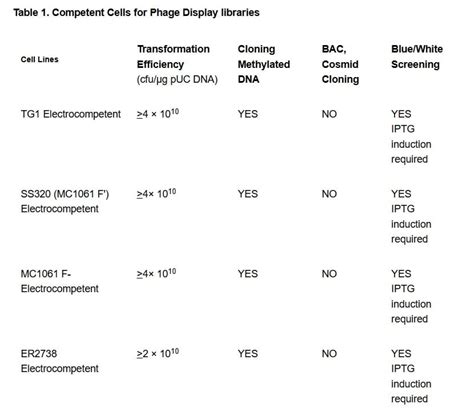 Tg1 Electrocompetent Cells Genetarget Solutions