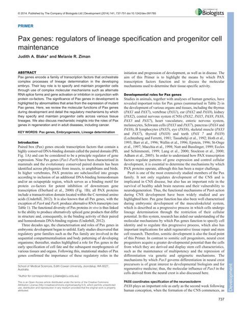 Pdf Pax Genes Regulators Of Lineage Specification And Progenitor