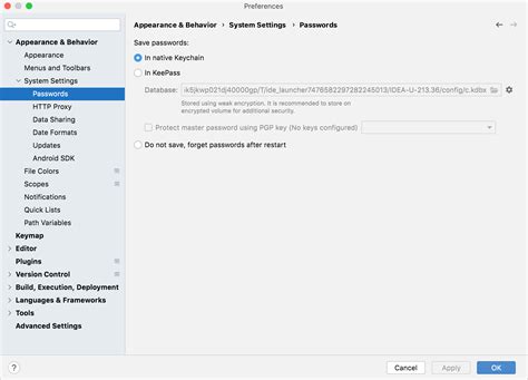 Passwords Intellij Idea Documentation